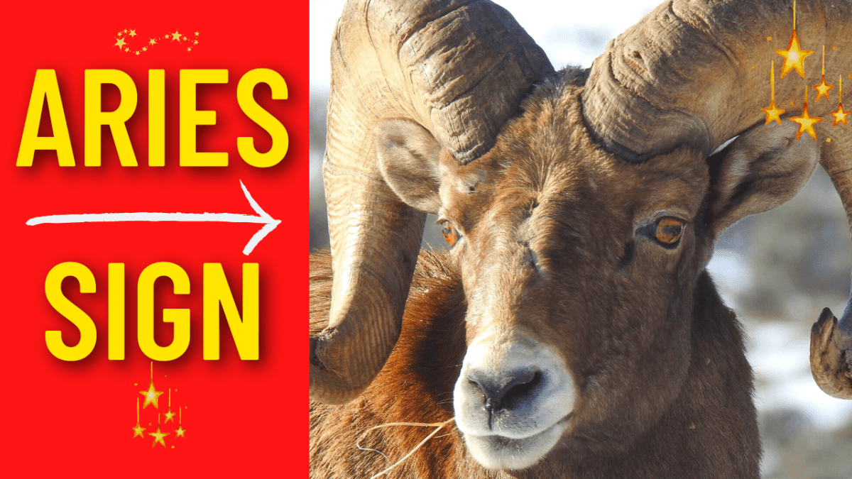 ARIES SIGN Meaning: What’s Aries Sign? – Astrology By 33